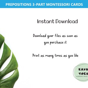 Printable Chinese Positional Words 3-part Montessori Cards | Etsy