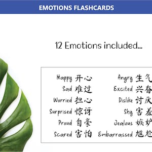 Emotions Flashcards Printables | Chinese English Bilingual | 情绪 ...