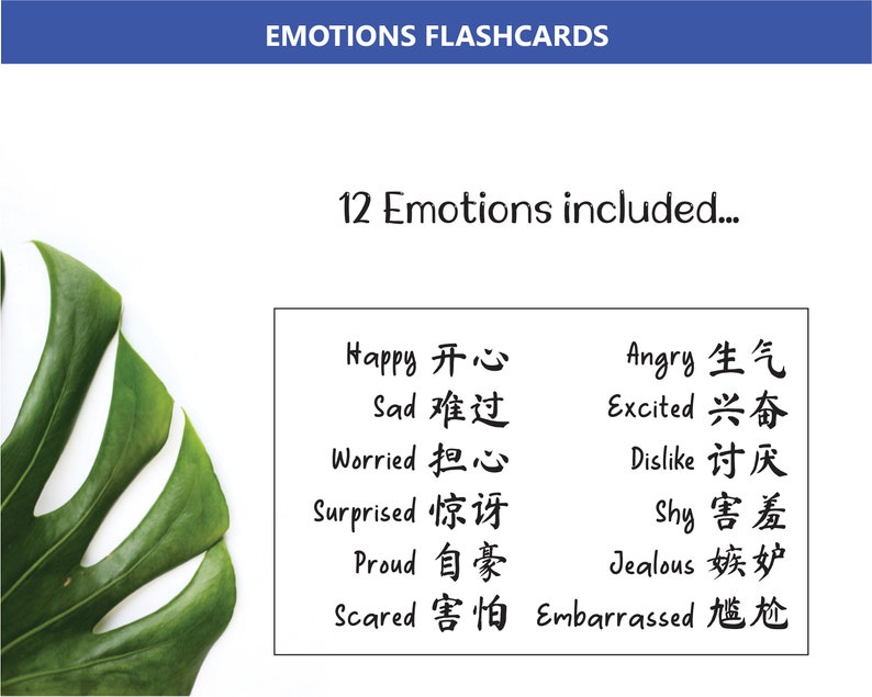 Emotions Flashcards Printables Chinese English Bilingual 情绪 ...