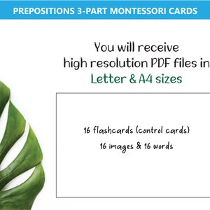 Printable Chinese Positional Words 3-part Montessori Cards | Etsy