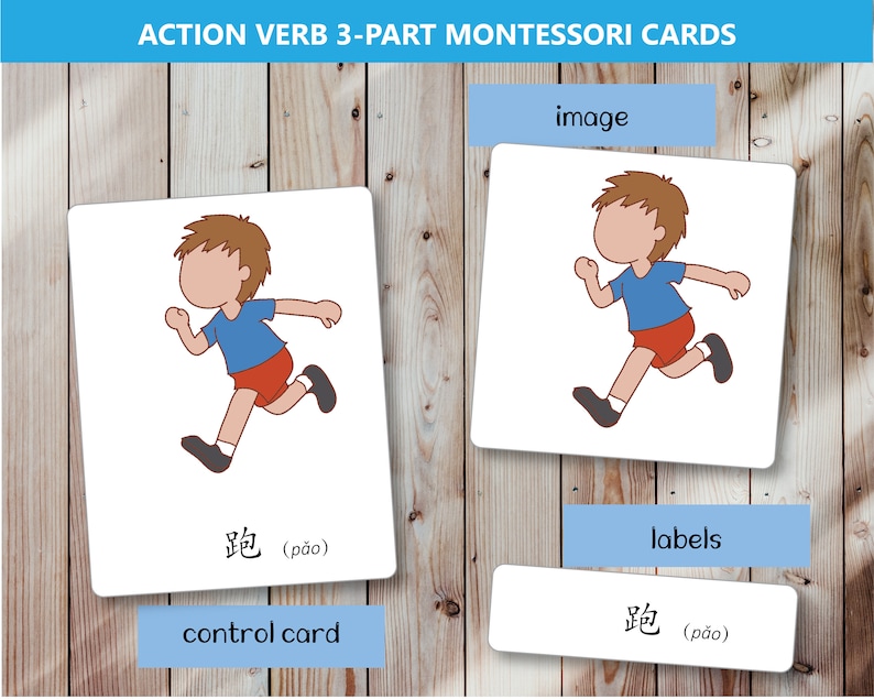 Chinese Action Verbs 3-part Montessori Cards, 20 Printable Chinese ...