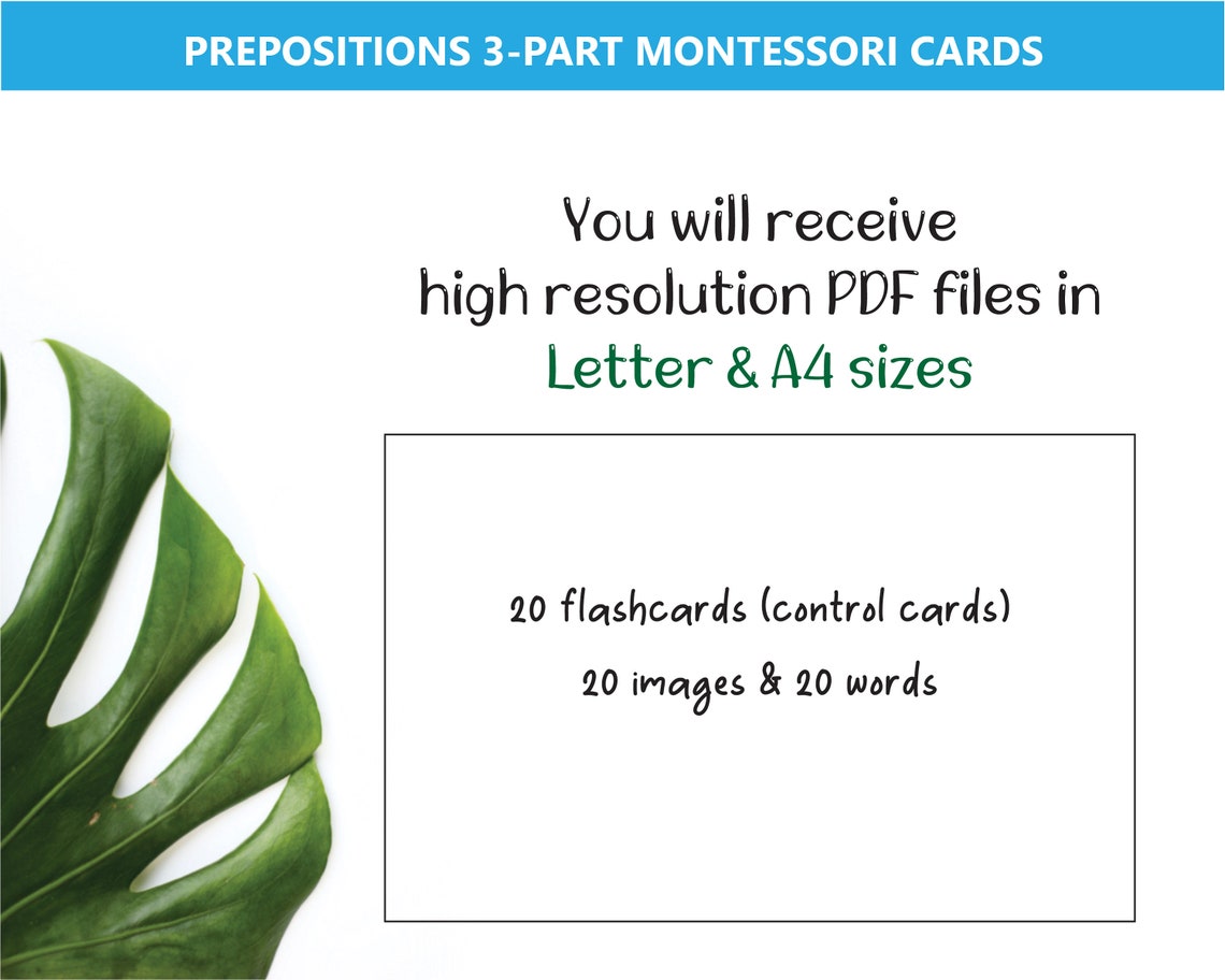 Prepositions 3-part Montessori Cards, Printable Positional Words ...