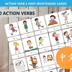 Chinese Action Verbs 3-part Montessori Cards, 20 Printable Chinese ...