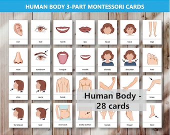 Human Body Part - Etsy