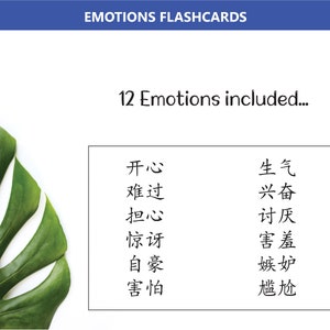 Emotions Flashcards Printables | Chinese Flashcards | 情绪 | Downloadable ...