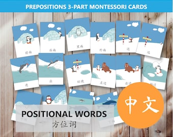 Prepositions 3-part Montessori Cards Printable Positional | Etsy