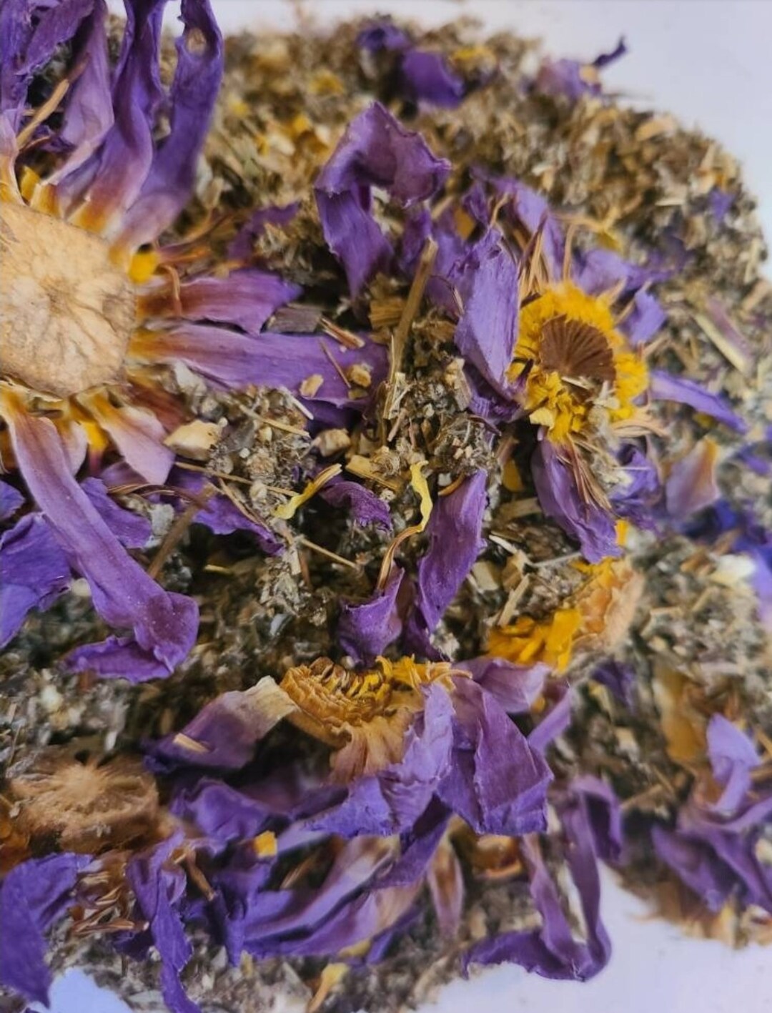 Divination Tool Lucid Dream Tea Heimia Salicifolia Calea - Etsy