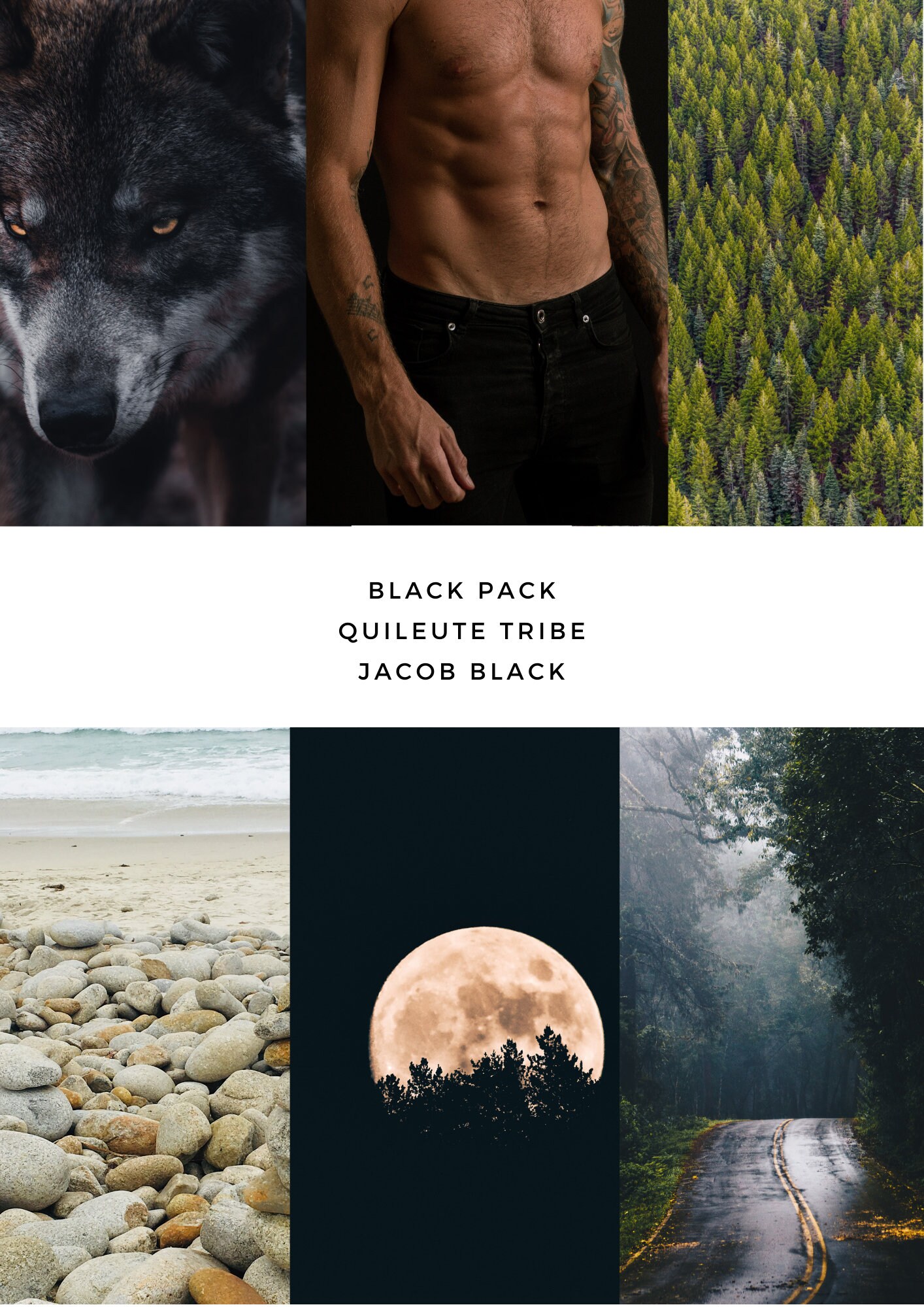 Shifting Script TWILIGHT Desired Reality Shift Script Script for ...