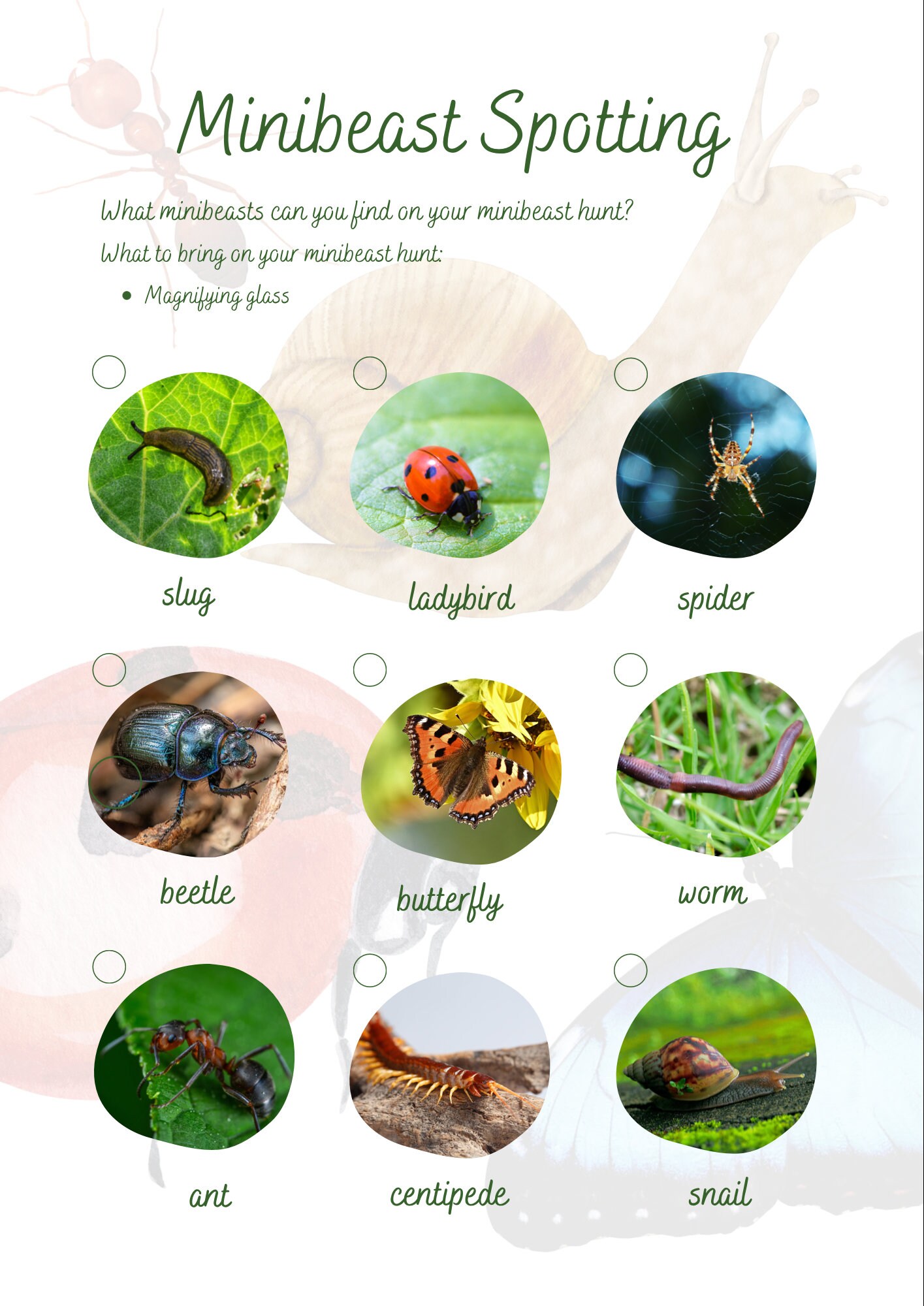 Minibeast Spotting Checklist - Etsy