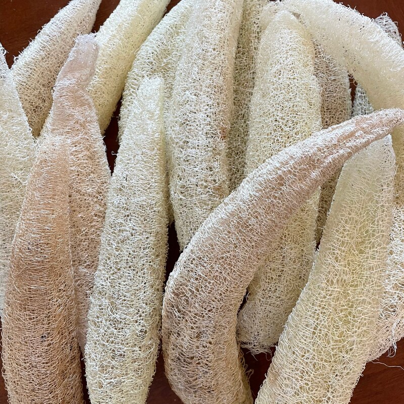 Luffa Sponge - Etsy