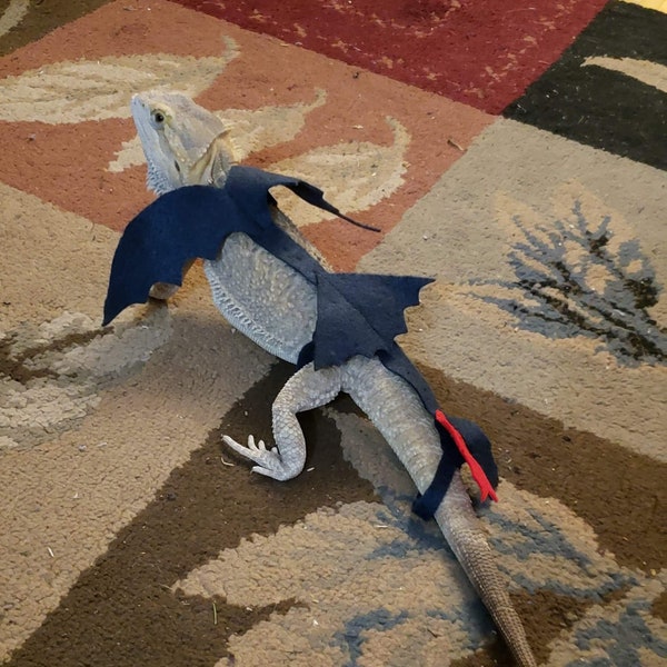Lizard Costume - Etsy