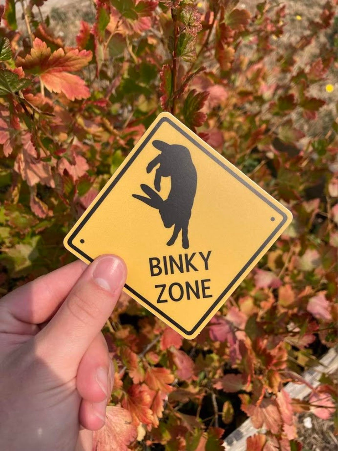 Binky Bunny / Happy Rabbit / Caution Jumping for Joy / Crazy - Etsy