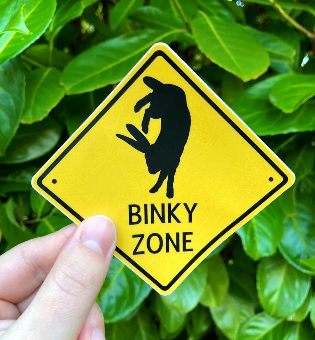 Binky Bunny / Happy Rabbit / Caution Jumping for Joy / Crazy Hopping ...