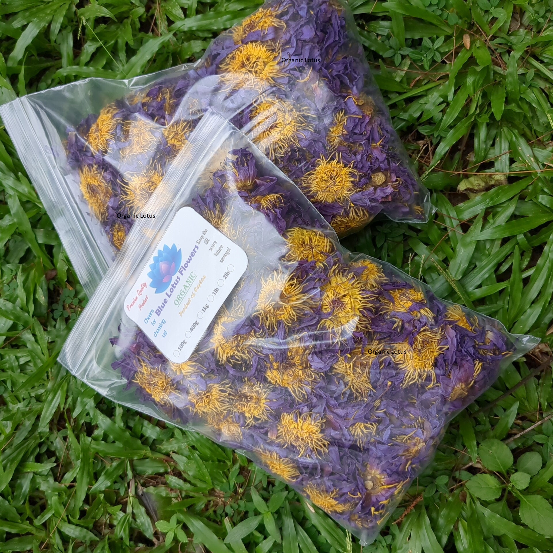 Blue Lotus Flower Premium Quality Pure Organic Dried Flowers Blue Herbs ...