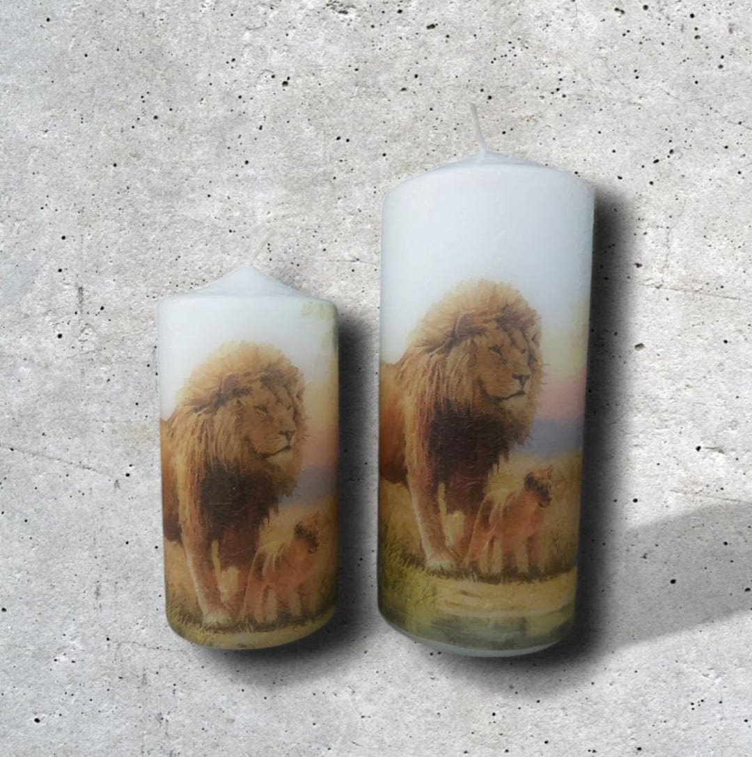 Handmade Gift Set Lions Candles Gift Wrapped Decoupage Original Candle ...