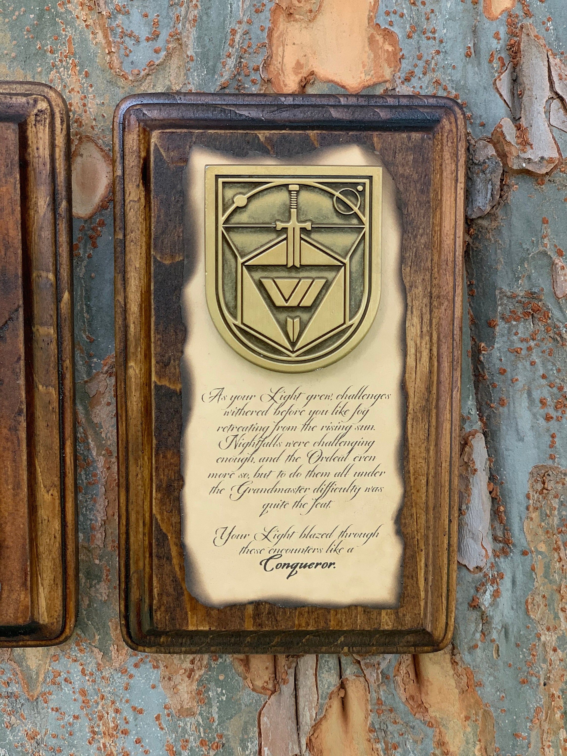 Display for Destiny 2 Triumph Seal Pins | Etsy UK