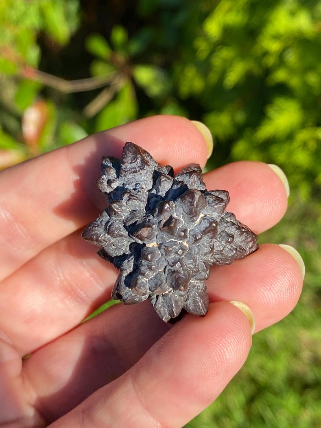 Beautiful Rare Spikey Prophecy Stone From Sahara Desert /egypt - Etsy