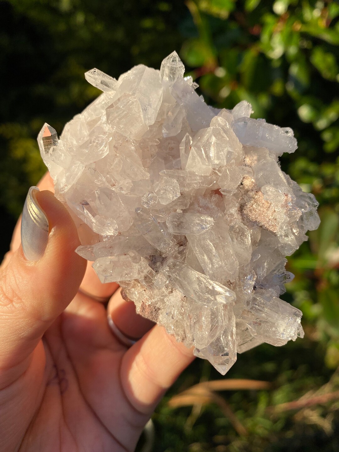 Colombian Sacred Pink Lemurian Light Quartz Crystal Cluster From ...