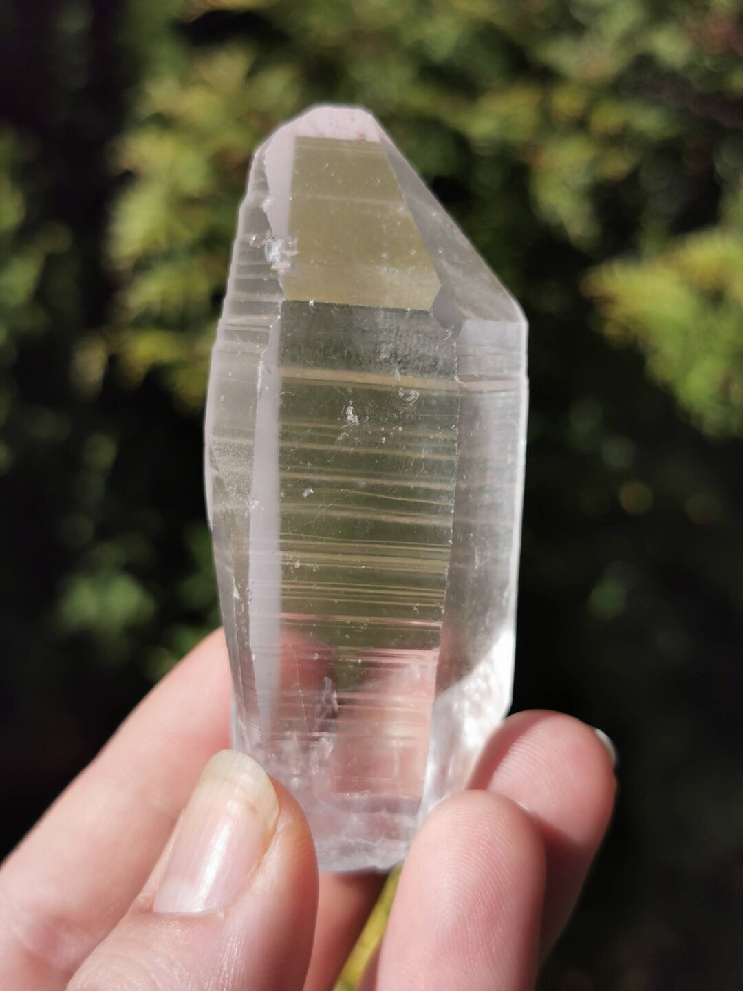 Real Lemurian Seed Quartz Crystal From Serra Do Cabral, Minas Gerais in ...