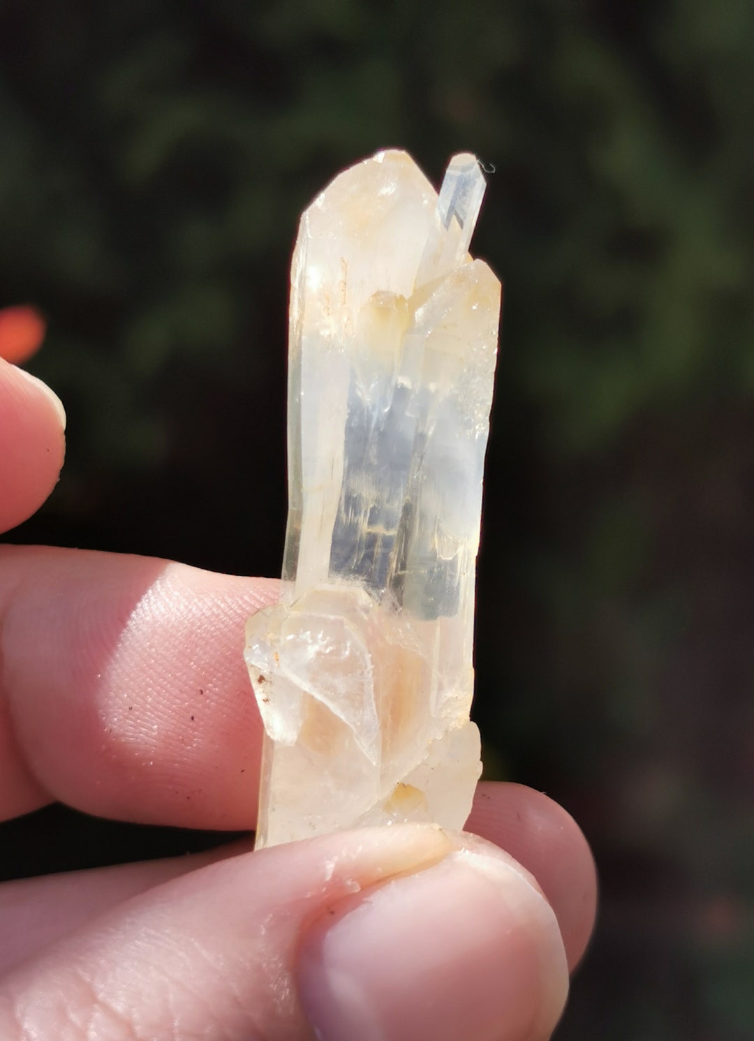 Large Mango Quartz Colombian Very Rare Mango Halloysite Quartz High ...