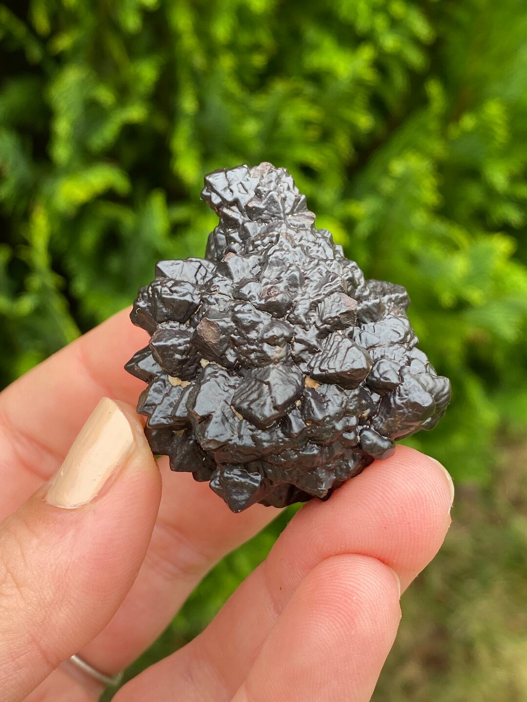 Rare Spikey Prophecy Stone: Sahara Desert Limonite Hematite Crystal - Etsy