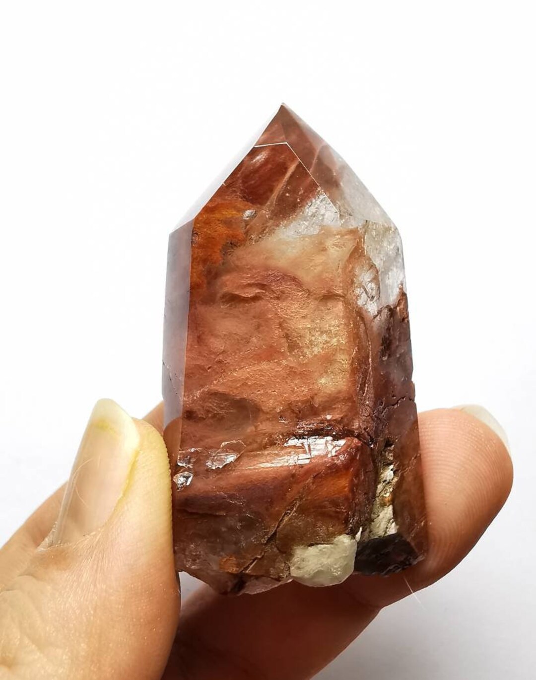 Rare Amphibole Angel Wings Quartz Polished Points From Brazil Energy ...