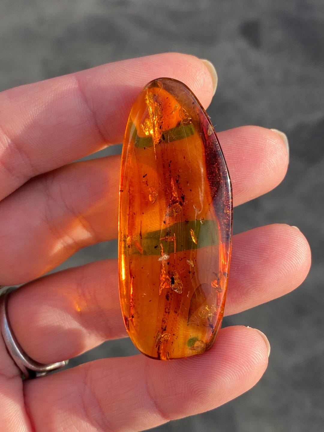 Natural Colombian Amber With Insects Polished Stone - Etsy