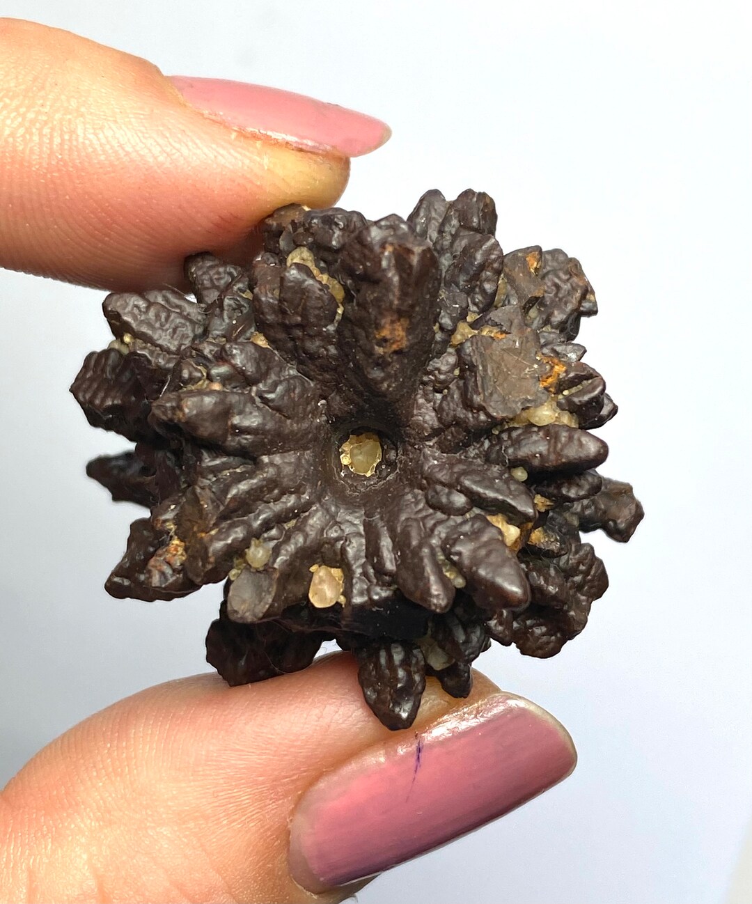Beautiful Rare Spikey Prophecy Stone From Sahara Desert /egypt - Etsy UK