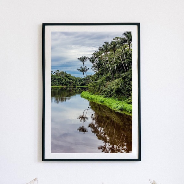 Rainforest Print - Etsy