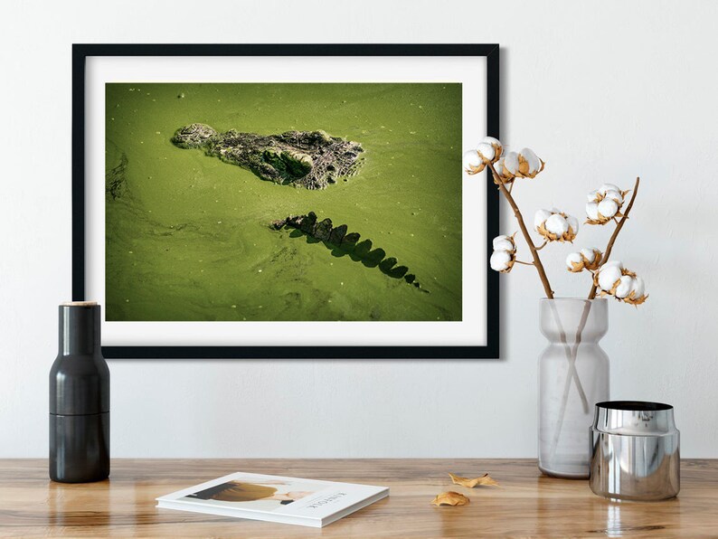 Crocodile Printable Instant Download Alligator Poster - Etsy