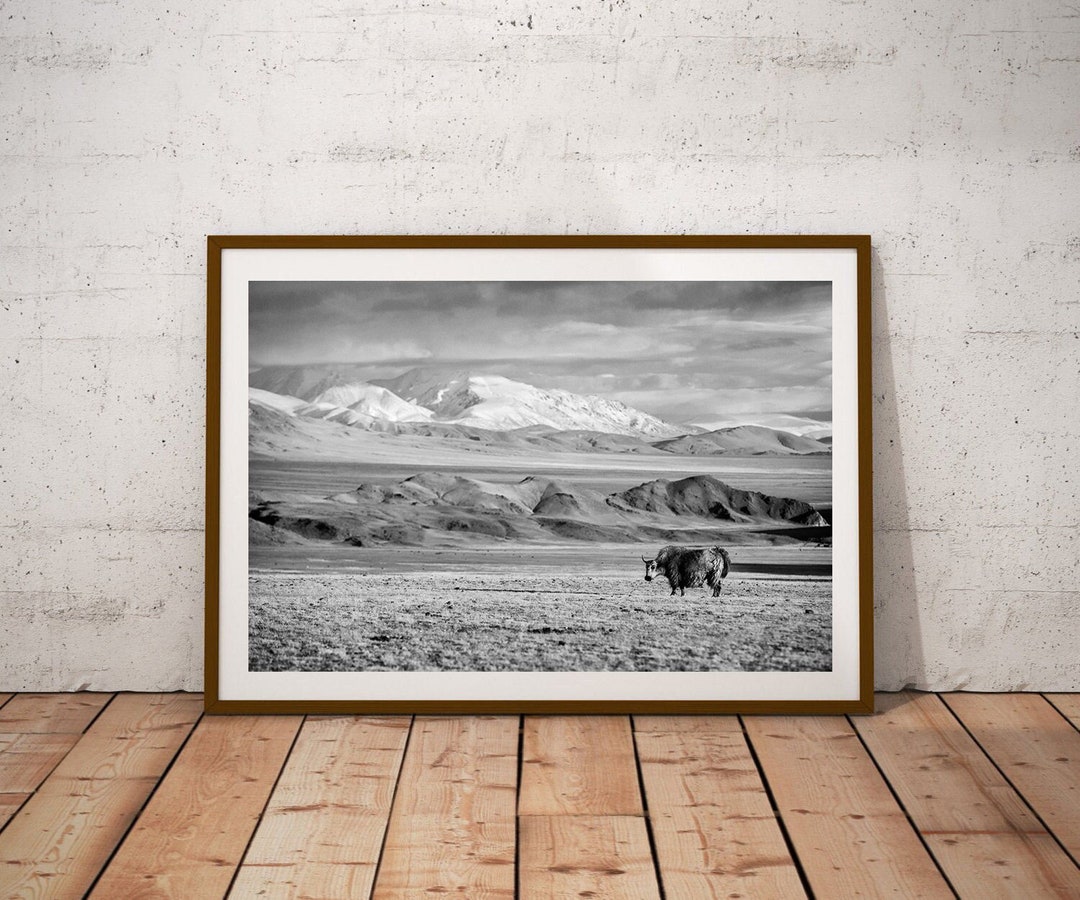Mongolia Printable, Tibetan Yak, Travel Photography, Digital Download ...