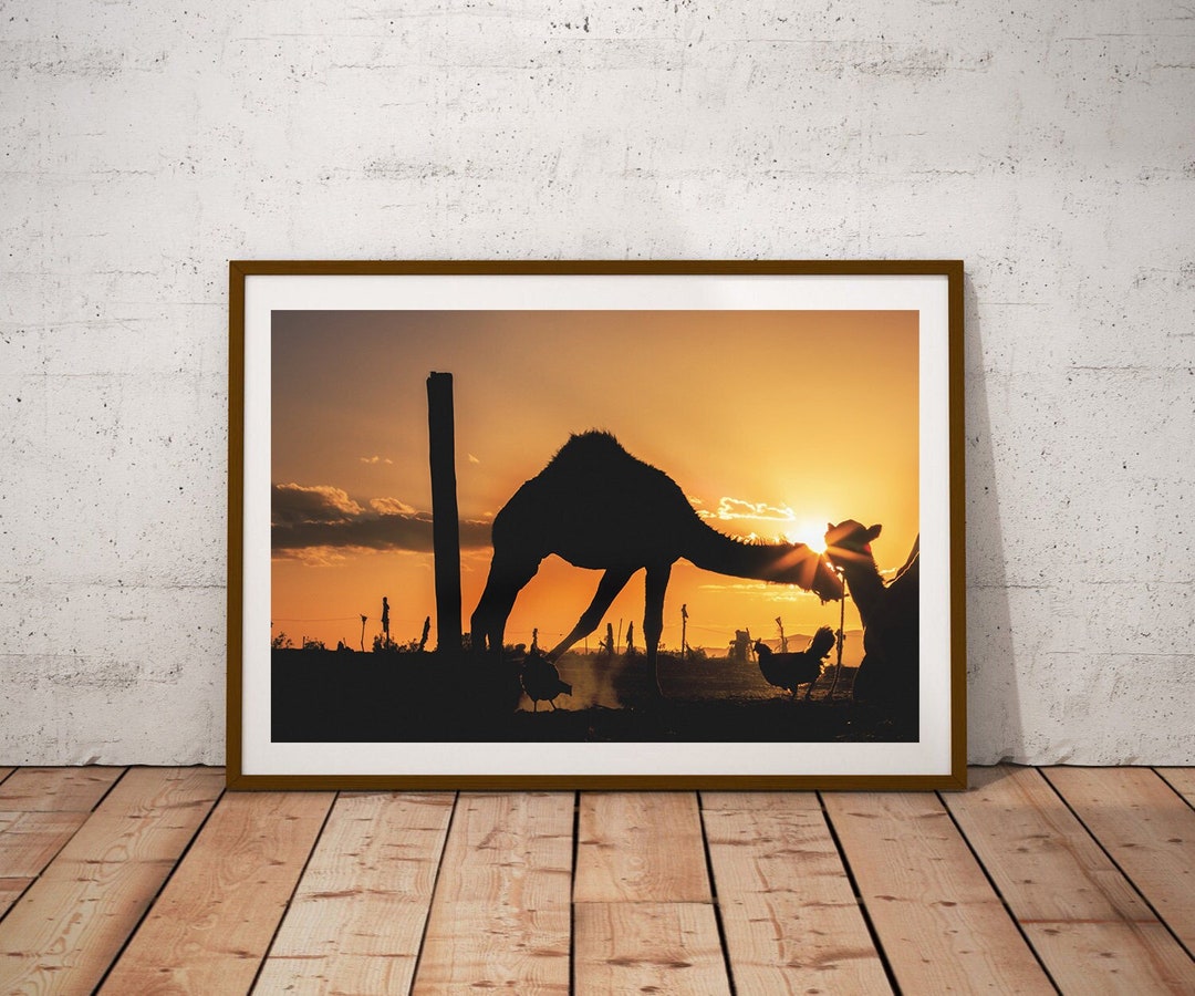 Camel Art Poster, Sahara Desert Printable, Sunset Pastel Print, Instant ...