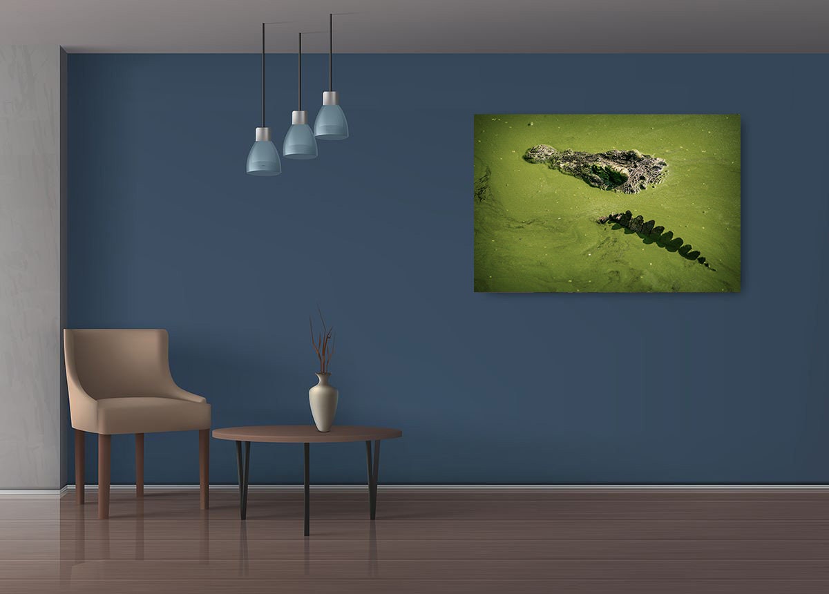 Crocodile Printable Instant Download Alligator Poster - Etsy