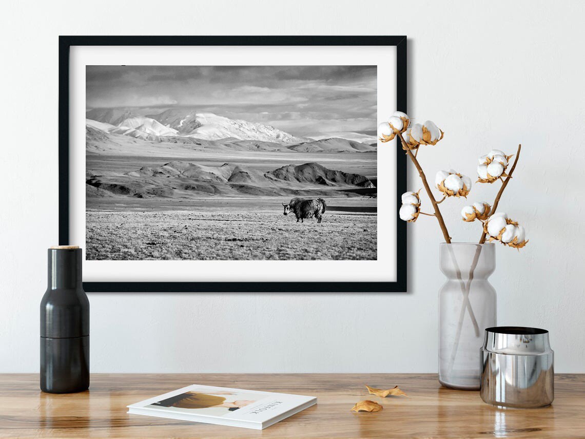 Mongolia Printable, Tibetan Yak, Travel Photography, Digital Download ...