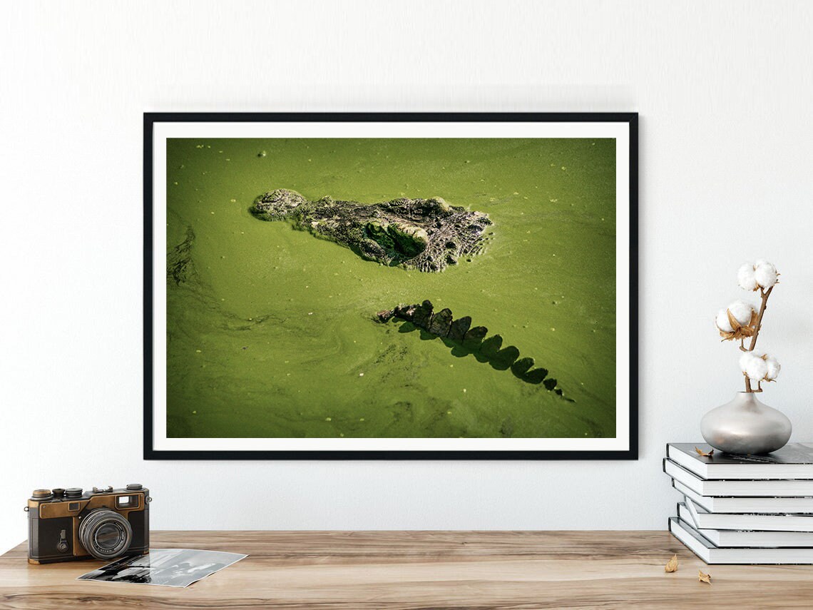 Crocodile Printable Instant Download Alligator Poster - Etsy