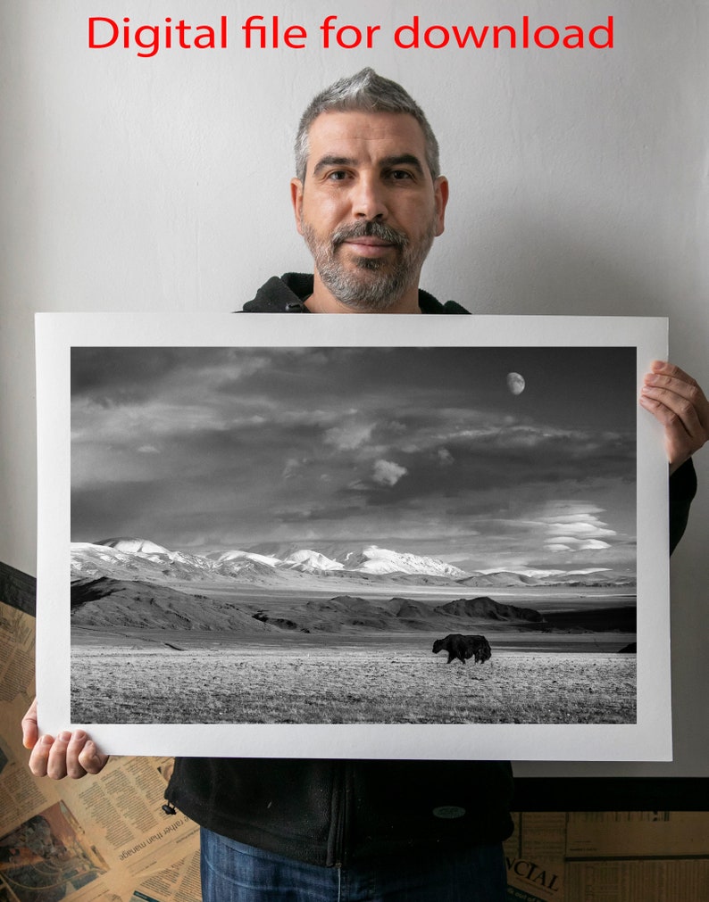 Mountain Landscape Tibetan Yak Wall Art Mongolia Printable | Etsy