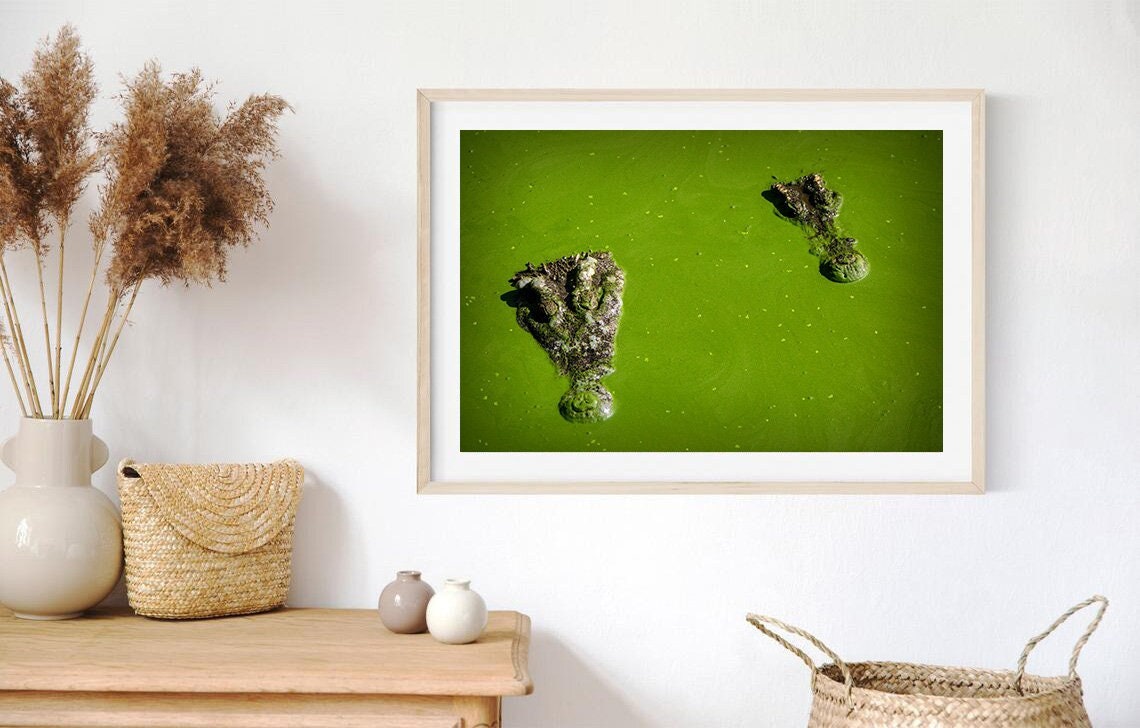 Crocodile Printable Wild Animal Poster Digital Download - Etsy