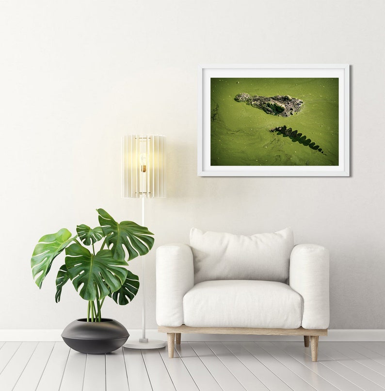 Crocodile Printable Instant Download Alligator Poster - Etsy