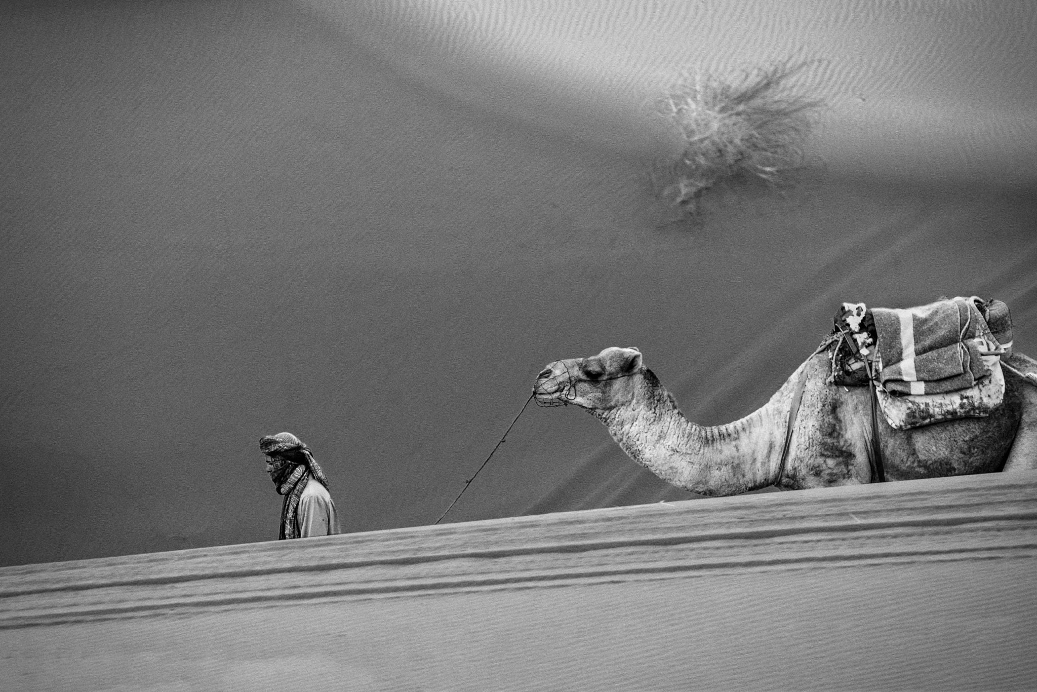 Desert Printable Sahara Wall Art Africa Decor Fine Art - Etsy