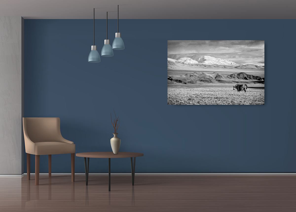 Mongolia Printable, Tibetan Yak, Travel Photography, Digital Download ...