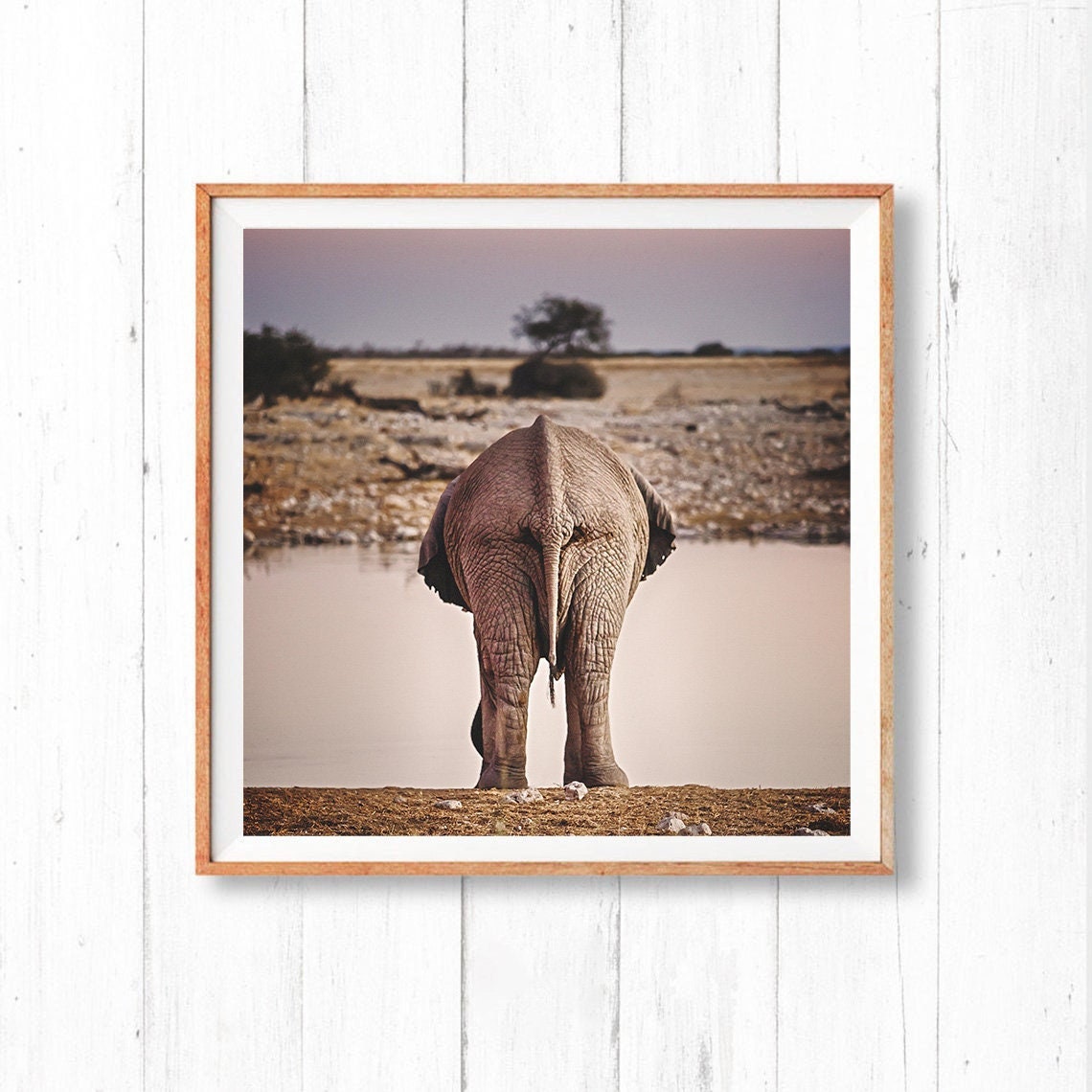 Square Animal Print Elephant Printable African Animal - Etsy