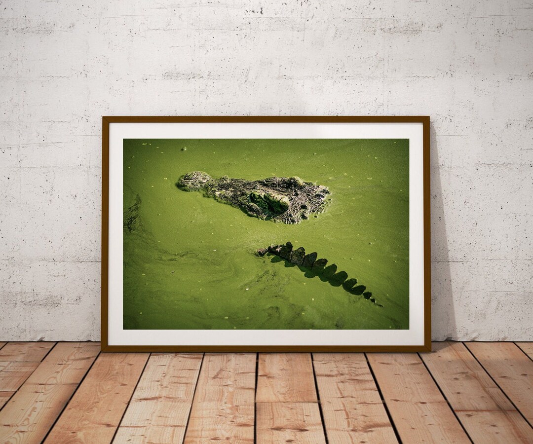 Crocodile Printable, Instant Download, Alligator Poster, Minimalist ...
