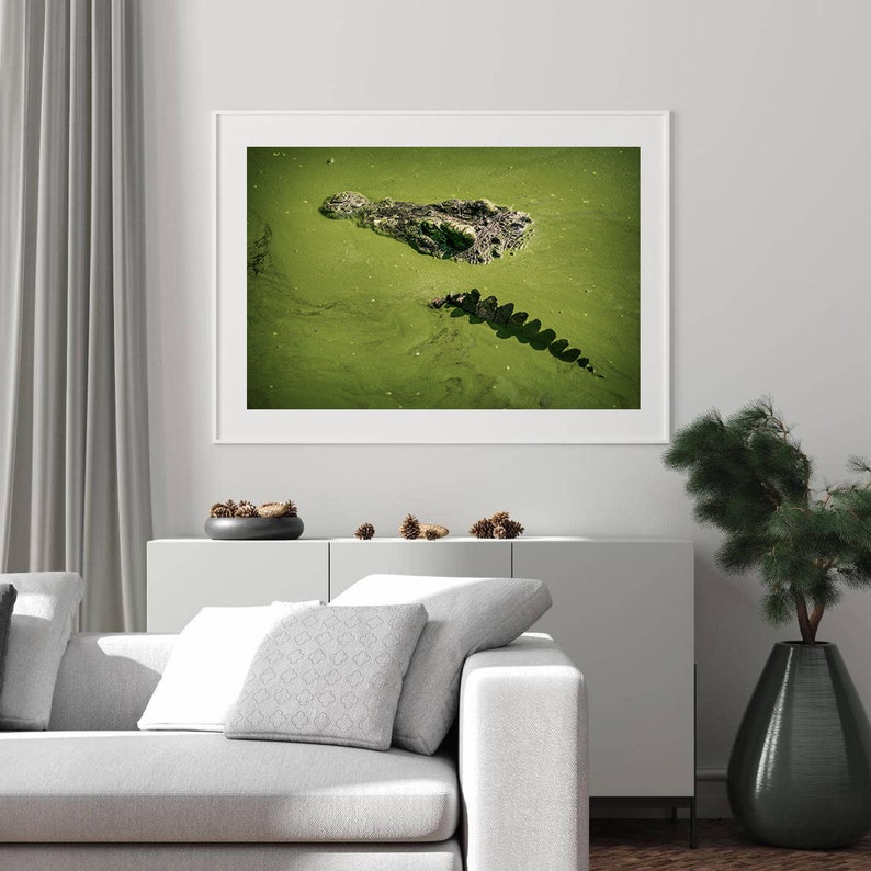 Crocodile Printable Instant Download Alligator Poster - Etsy