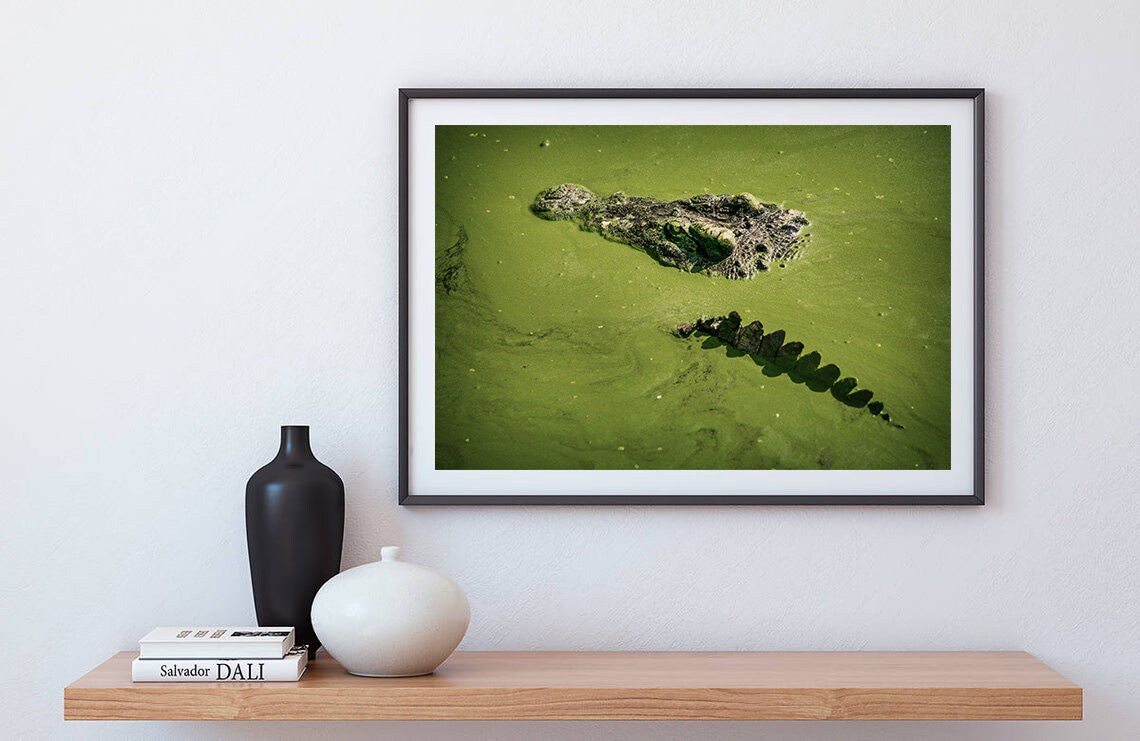 Crocodile Printable Instant Download Alligator Poster - Etsy