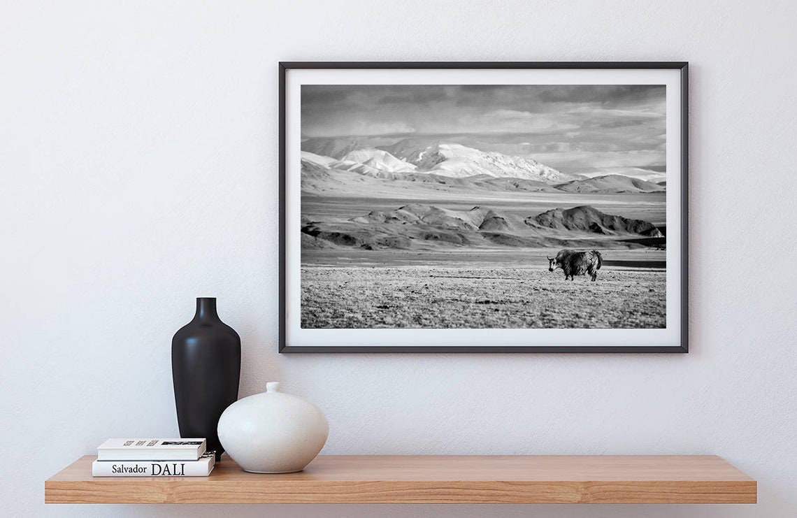 Mongolia Printable, Tibetan Yak, Travel Photography, Digital Download ...
