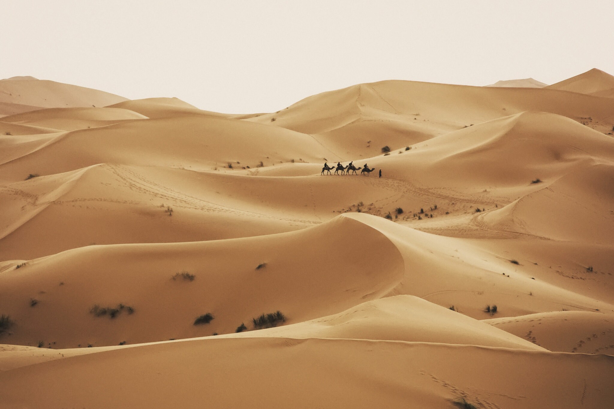 Sahara Desert Printable Pastel Desert Wall Art Camel Caravan - Etsy