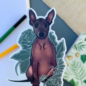 Dog Sticker, Xolo Dog, Xoloitzcuintli, Mexican Dog, Brown Dog, Hairless ...