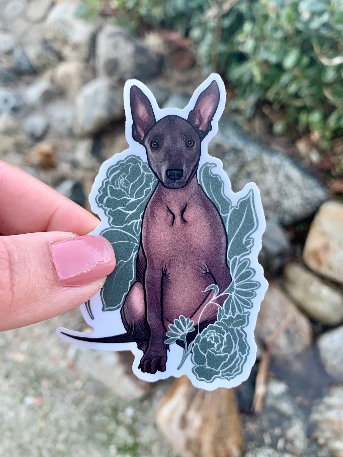 Dog Sticker Xolo Dog Xoloitzcuintli Mexican Dog Brown Dog | Etsy