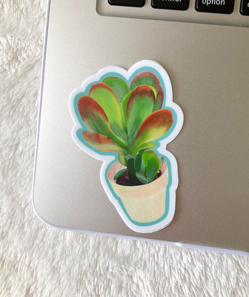 Flapjack Succulent Sticker, Waterproof Vinyl Plant Decal - Etsy