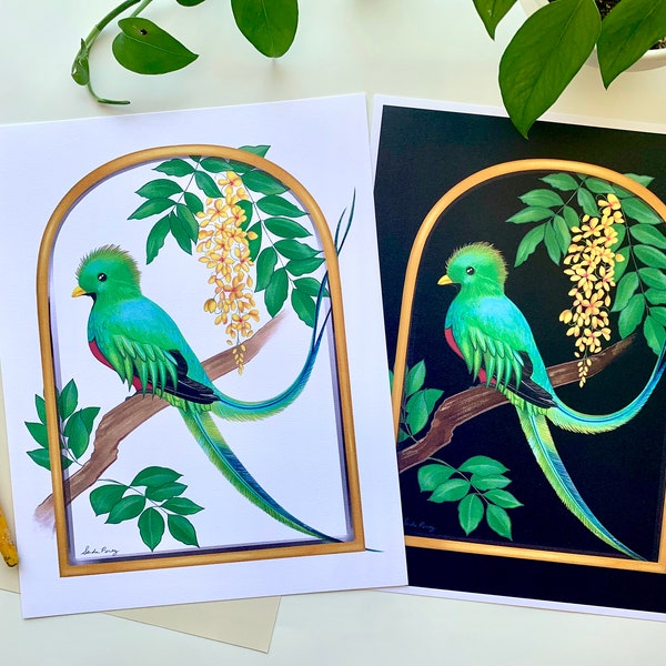 Quetzal - Etsy